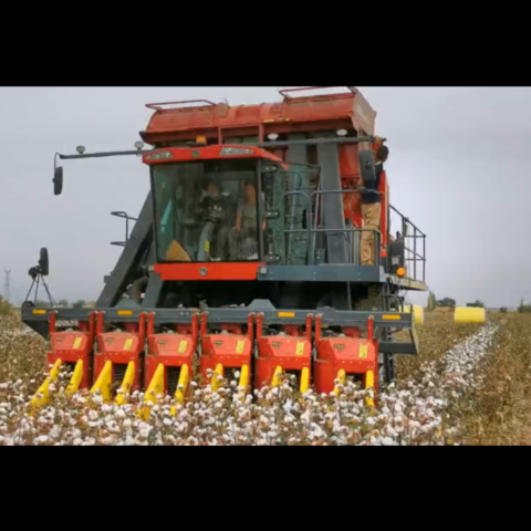 China FMWORLD 4MZD-6 Cotton Harvester on Global Sources,Cotton ...