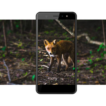 Sagetel 4G smartphone MTK6750 with low price 5.5-inch Android ...