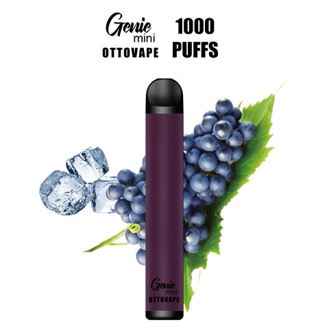 China Ottovape Genie mini 1000 puffs rechargeable disposable vape stick ...