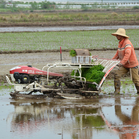 China Transplanters, Hand Type Rice Transplanter, Gasoline 4.5/5HP, 6 ...