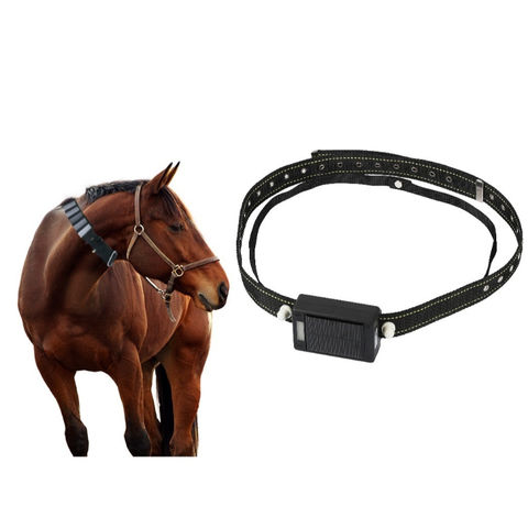 China Animal GPS Tracker for Cow Horse Cattle pet Tracking device Real ...