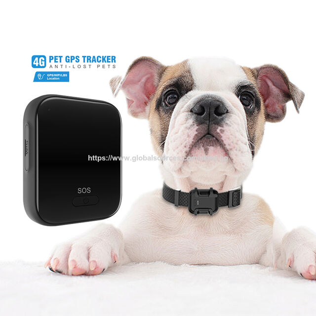China 4G Waterproof Dog GPS Led Flash Collar Pet Activity Monitoring ...