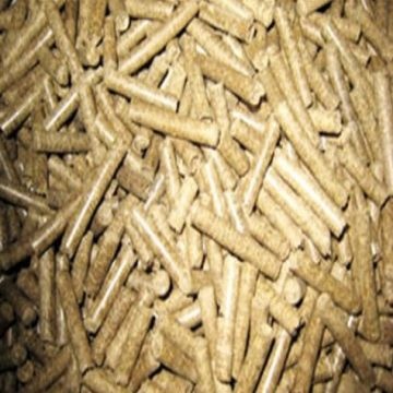 Rubber wood pellet | Global Sources