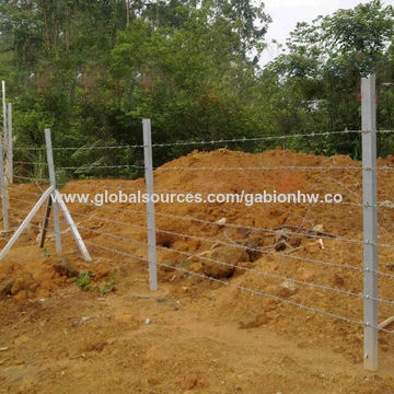 China Gal barbed wire,barbed rope,pvc babred wire,barbed wire fence on ...