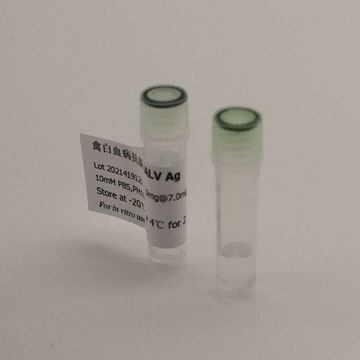 China Avian Leukemia Antigen on Global Sources,ALV Ag