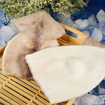 China FROZEN SQUID FILLET on Global Sources