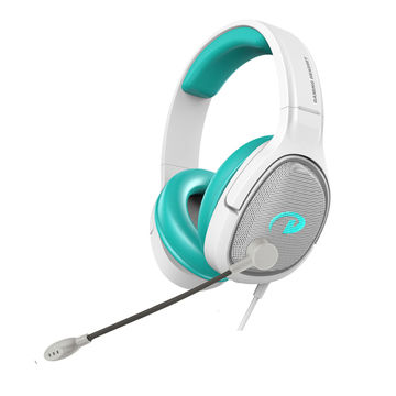Hong Kong SAR Flexible Mic RGB Gaming Headset PC Iron Mask Surface Easy ...