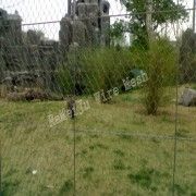 Hawk wall , animal enclosure,bird netting, rope mesh, aviary mesh,zoo ...