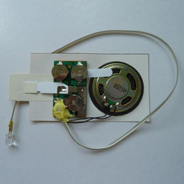 Sound Module manufacturers, China Sound Module suppliers | Global Sources
