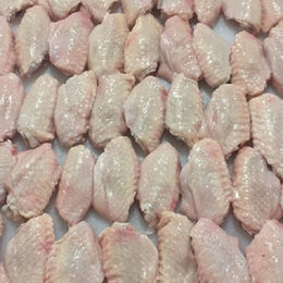 BRF-Brazil Foods S.A. | Frozen Chicken Wings, Feet and Paws HALAL ...