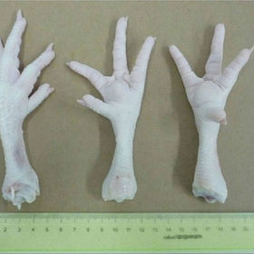United States BRF-Brazil Foods S.A.,Chicken paws, chicken feet grade A ...