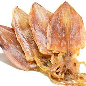 Canada Top Quality Dry Cuttle Fish for sale on Global Sources,TIGER SHRIMPS