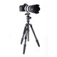 Buy Wholesale China Carbon Professional Reflexed Compact Removable Leg ...