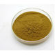ChinaNatural Orange Extract Powder Fruit Extracts on Global Sources