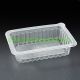 PP Disposable Small Plastic Food Tray | Global Sources