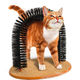 Buy Wholesale China Cat Toy Purrfect Arch Cat Brush Hair Rubbing Device ...