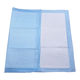 Buy Wholesale China Wholesale Disposable Blue Pe Film Underpads 60*90 ...
