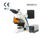 Buy Wholesale China Microscope 2000x Magnification Microscopio ...