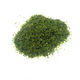 Buy Wholesale Canada Sea Lettuce Seaweed Powder/ Dried Ulva Lactuca ...