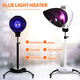 Buy Wholesale China Hair Treatment Equipment Professional Hair Dryer ...