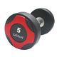 Buy Wholesale China Cpu Round Steel Dumbbell Fitness Dumbbell & Cpu ...