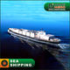 Buy Wholesale China Fob Cif Sea Shipping Freight Forwarder Sea Freight ...