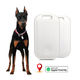 Buy Wholesale China Wholesale Smart Gps Pet Tracker & Locator Apple ...