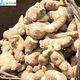 Buy Wholesale China Shandong Ginger Quality Corps Pack In 5kg Per Mesh ...