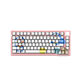 Buy Wholesale China New Private Mold Mechanical Gaming Keyboard With 81 ...