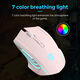 Buy Wholesale China Mouse Gaming Oem Cheap Wireless Optical Paint Rgb ...
