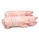 Buy Wholesale Germany High Quality Fresh Frozen Pork Meat,pork Front ...