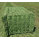 Buy Wholesale South Africa Top Grade Alfalfa For Animal Feed / Alfalfa ...