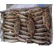Buy Wholesale Thailand Fresh Frozen Mud Crab, Legs King Style Crab ...