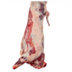 Buy Wholesale South Africa Top Quality Fresh Frozen Lamb Meat/ Halal ...
