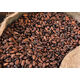 Buy Wholesale United Kingdom High Quality Organic Dried Grade A Cocoa ...