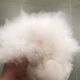 Buy Wholesale China Pure Dehaired Mongolian Raw Cashmere Wool ...