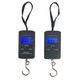 Buy Wholesale China 40kg Portable Digital Handy Scale Electronic ...