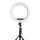 Buy Wholesale China Label Products AFI 16-inch LED RGB Ring Light ...