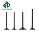 China BFM1013 intake & Exhaust valve Engine Valve 04204015/04255255 ...
