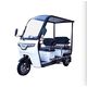 Buy Wholesale China Everbright Adults 3 Wheel Cargo Bike Adult Electric ...