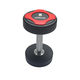 Buy Wholesale China Cpu Round Steel Dumbbell Fitness Dumbbell & Cpu ...