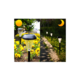Buy Wholesale China Enchanted Spaces Black Solar Path Light, Set Of 6 ...