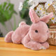 Buy Wholesale China High Quality Custom Cute Soft White Rabbit Plush ...
