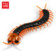Buy Wholesale China Simulatiino Rc Centipede Scolopendra Realistic ...