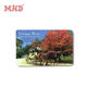 Buy Wholesale China Magnetic Card For Hotel Room Key Encoding Track 2 ...