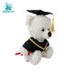 Buy Wholesale China Wholesale Factory Graduation Bear Plush Custom ...