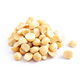 Buy Wholesale Kenya "macadamia Nut Shell Bulk Supply For Export At Best ...