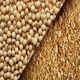 Buy Wholesale Kenya Soya Bean Meal For Animal Feed Organic Soybean Meal ...