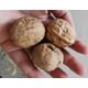 Buy Wholesale China 2022 New Crop Chinese Walnut 185 Yunnan 33 Xiner ...