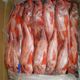 Buy Wholesale Thailand Low Price Frozen Whole Red Snapper Fish & Low ...